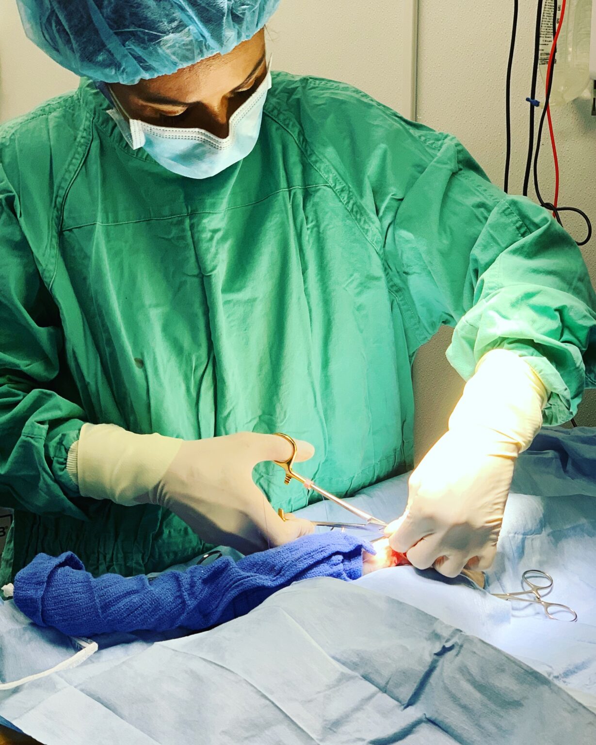 Pet Surgery - Urban Pawz Animal Clinic